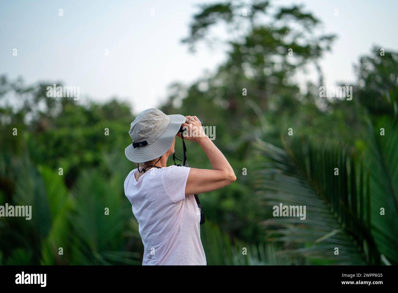 Woman observing animals with binoculars in Tanjung Puting National Park ...
