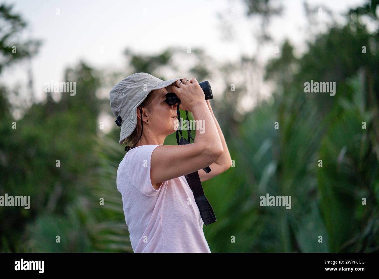 Woman observing animals with binoculars in Tanjung Puting National Park ...