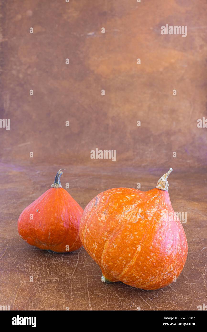 Two colour marrow hi-res stock photography and images - Alamy