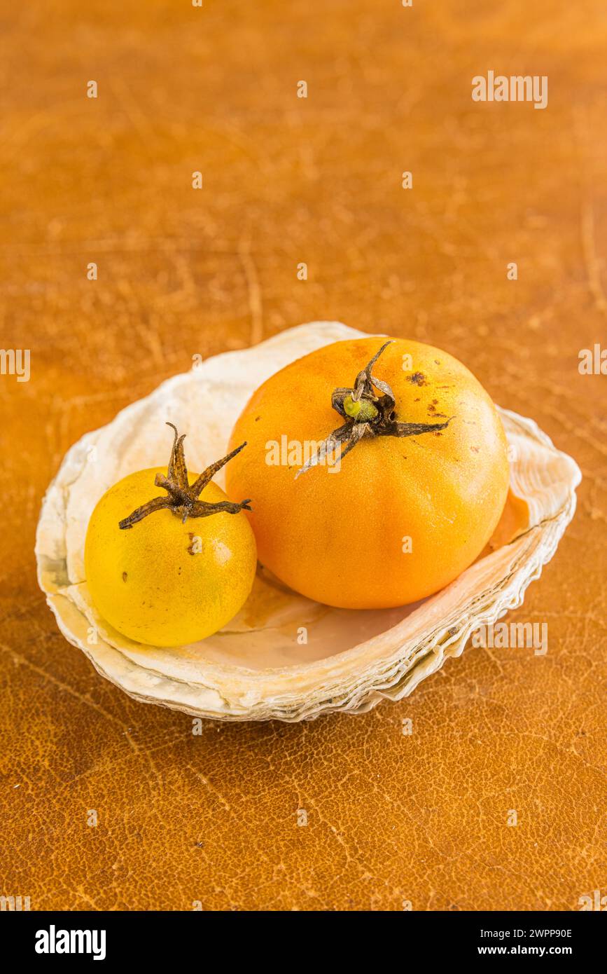 Still life with tomato, shell as a bowl, close-up Stock Photo - Alamy