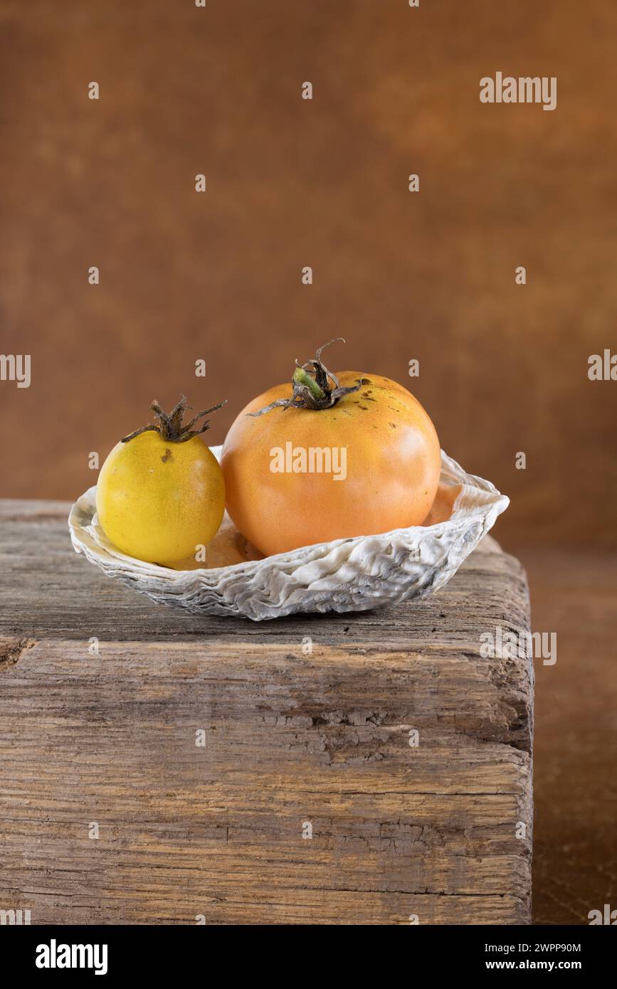 Still life with tomato, close-up, shell as bowl Stock Photo - Alamy
