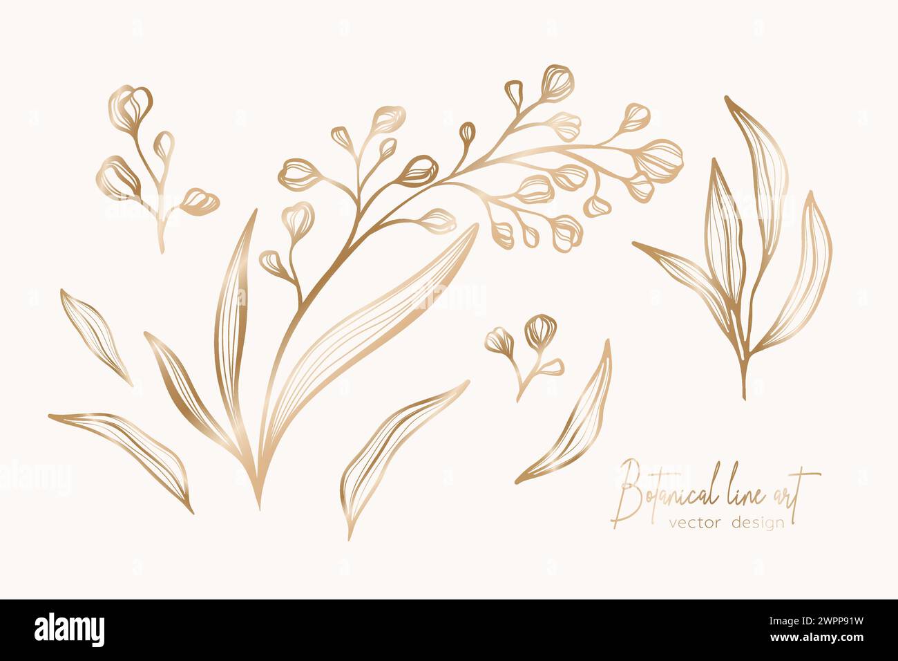 Botanical elegant gold line art illustration of flower leaves branch ...