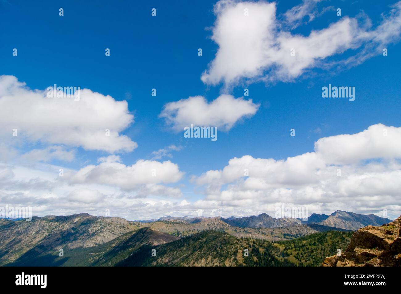 along the Copper Ridge Trail in North Cascades National Park Wilderness ...