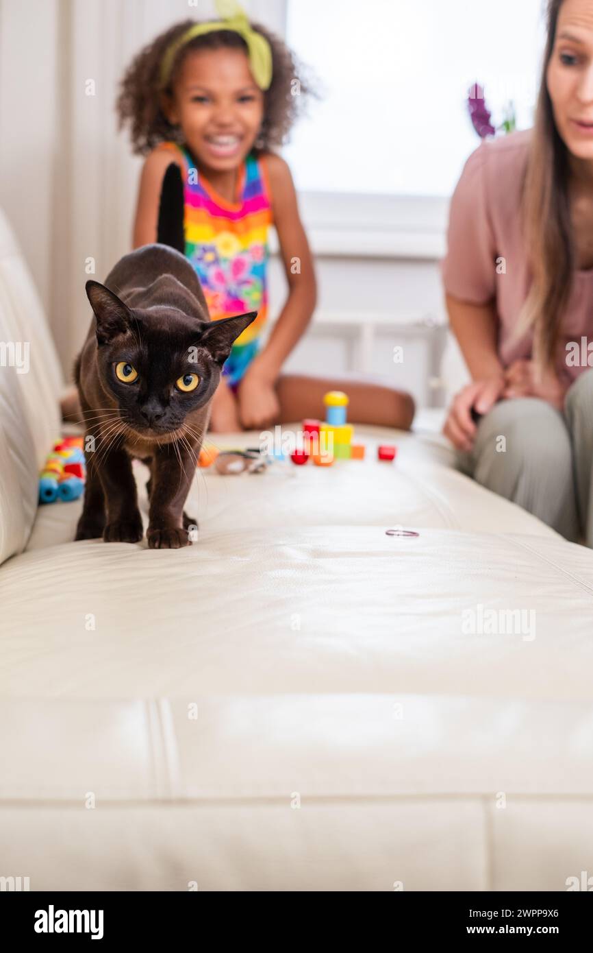 Promoting connection hi-res stock photography and images - Alamy