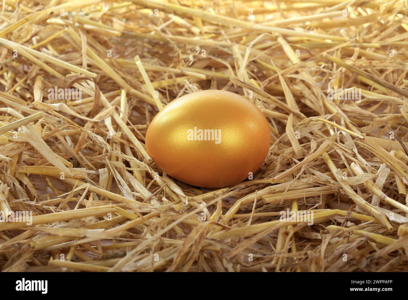 gold egg of hen on straw Stock Photo - Alamy