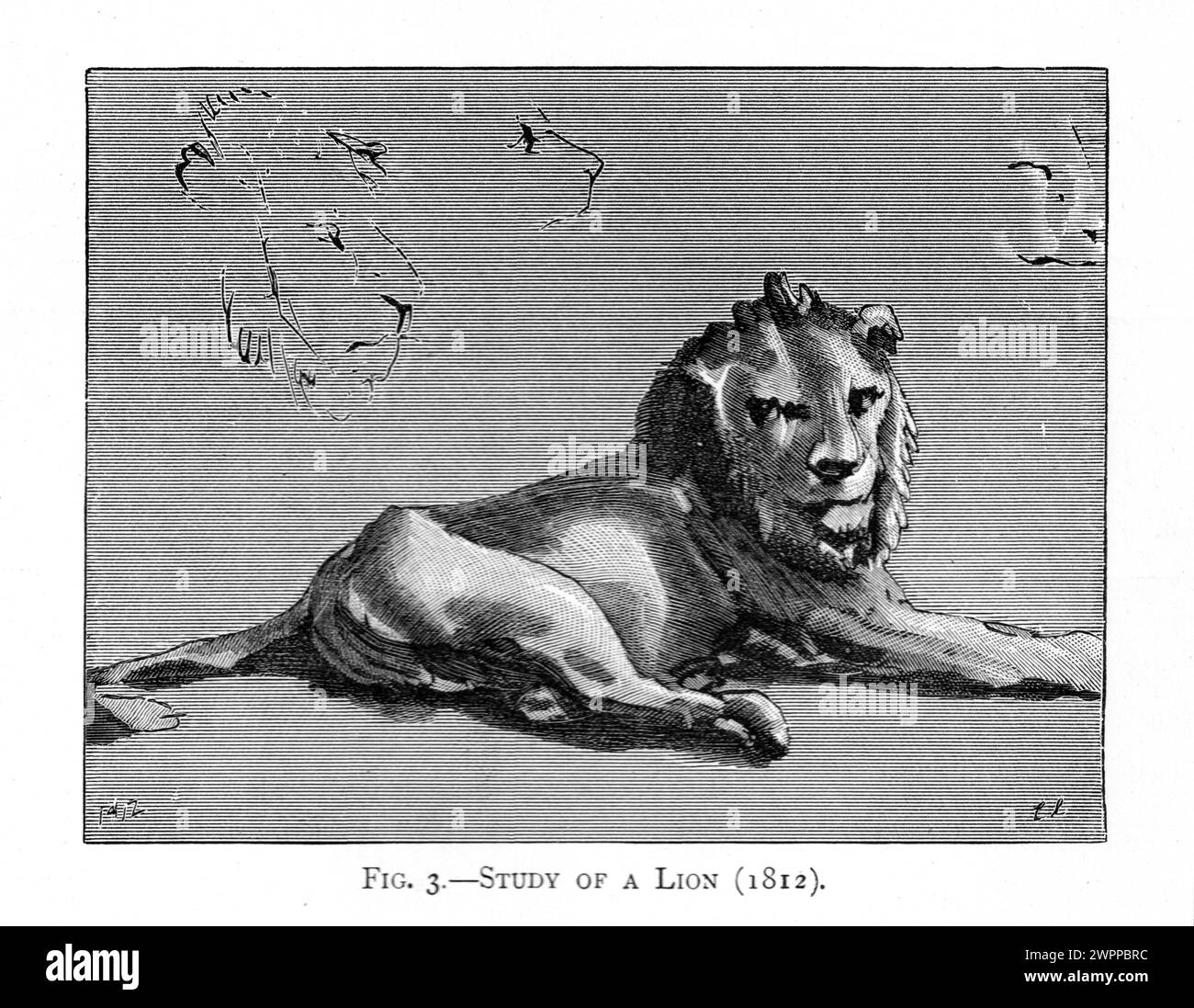 Edward landseer Black and White Stock Photos & Images - Alamy