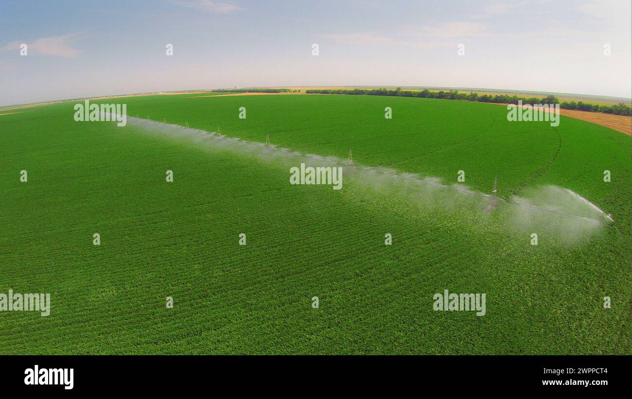 Irrigation system on a industrial farm. Irrigating beans Stock Photo ...