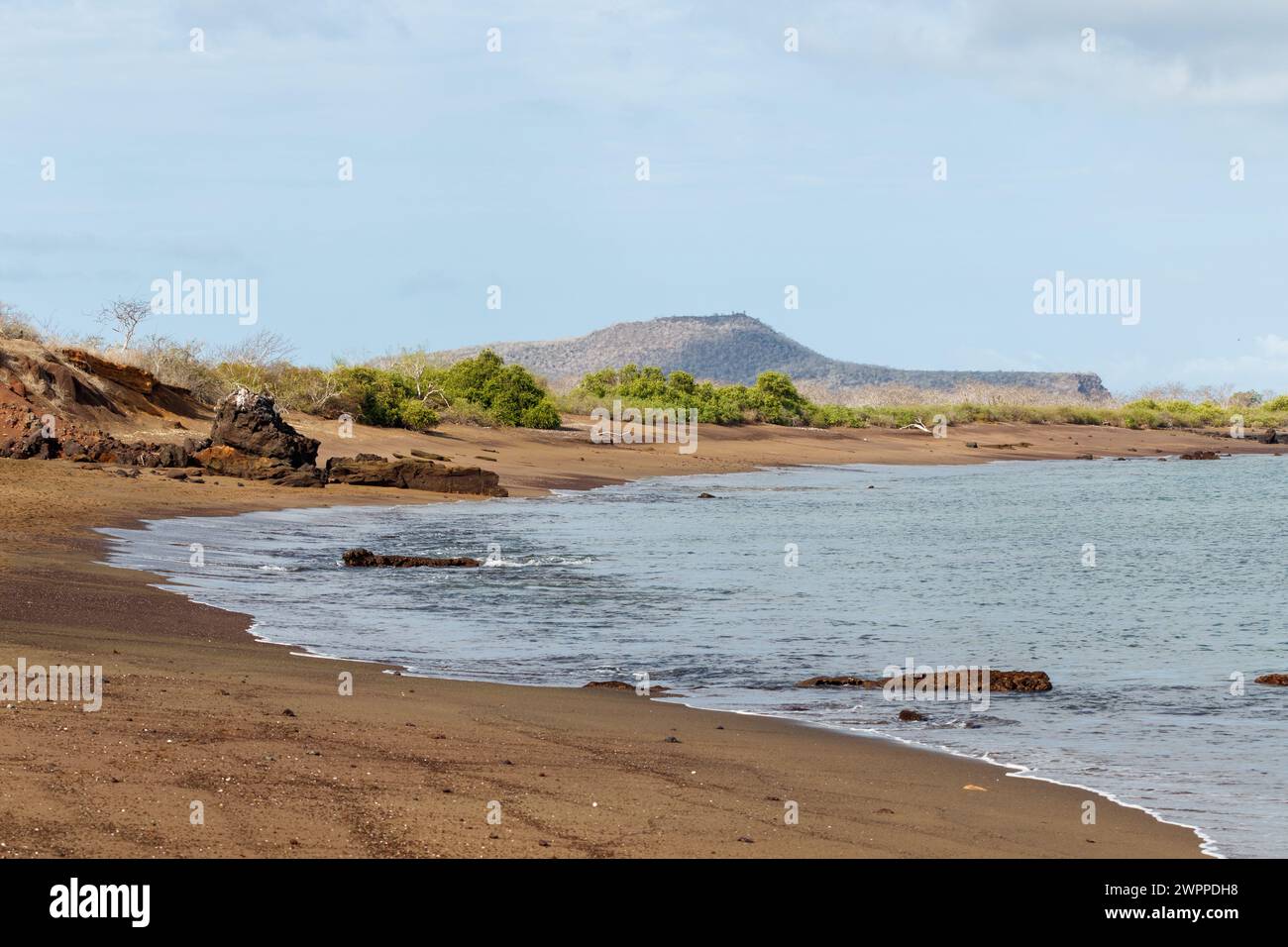 A Landscape view of the beach at Punta Cormorant, Floreana Island ...