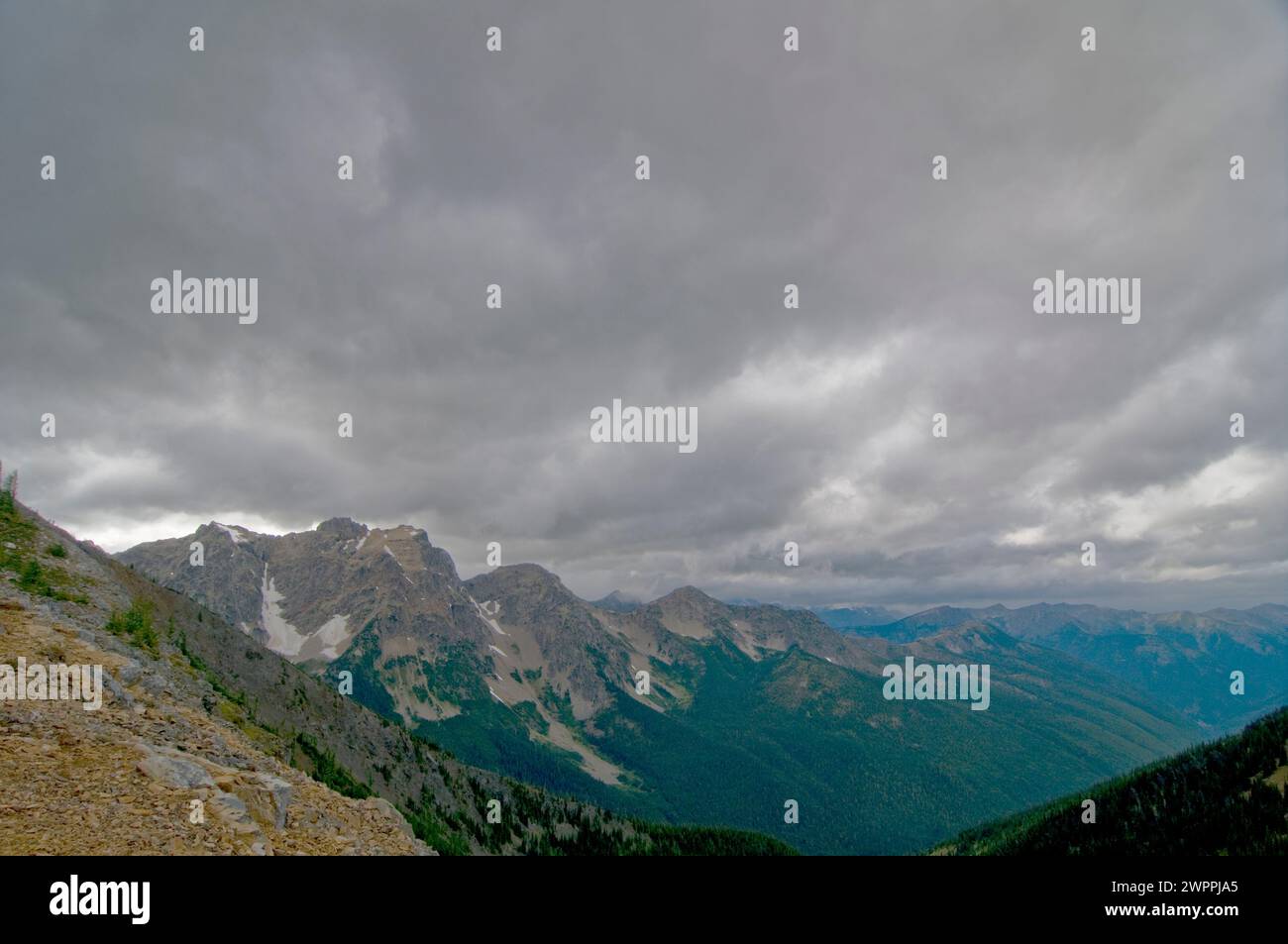 along the Copper Ridge Trail in North Cascades National Park Washington ...