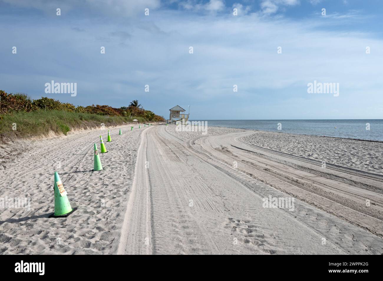 Bear cut preserve hi-res stock photography and images - Alamy