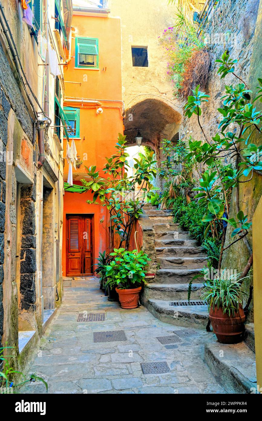 Colorful plant lined old street in the Cinque Terre village of Vernazza, Italy Stock Photo - Alamy