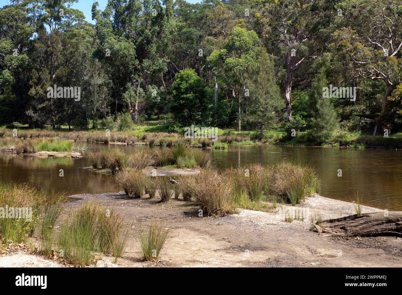 Royal National Park, Australia's first national park, with the Port ...