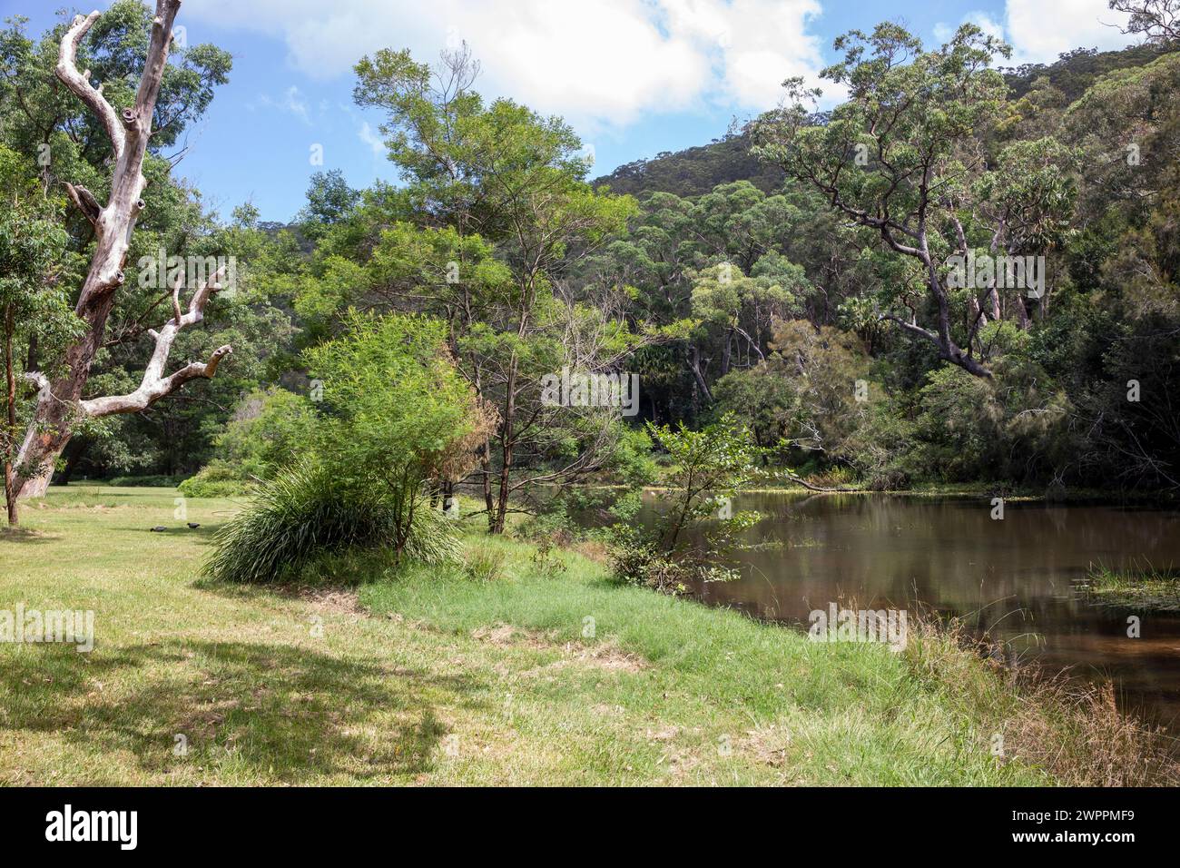 Royal National Park, Australia's first national park, with the Port ...