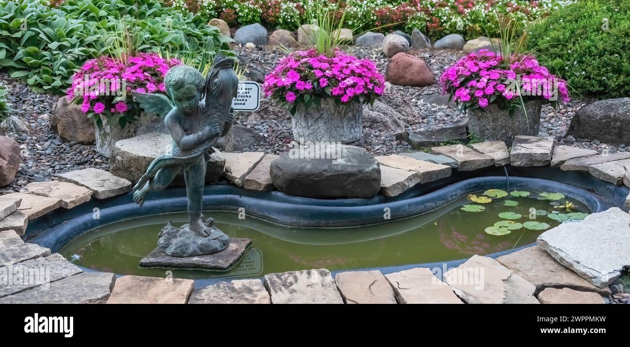 Statue of an angel holding a goldfish in a lily pond with pots of new ...