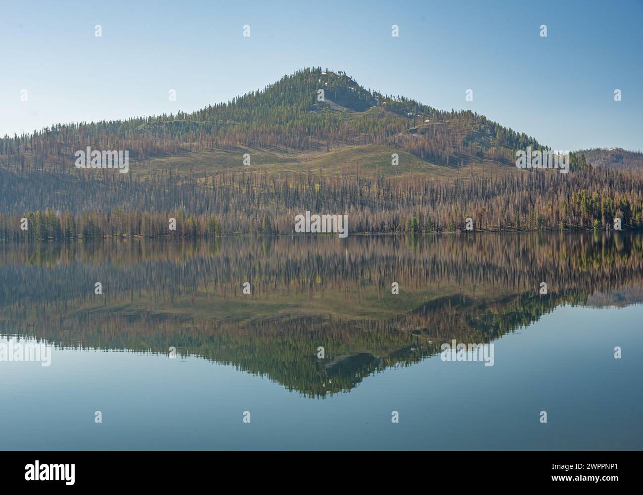 Reflection of Mount Hoffman in Snag Lake in Volcanic National Park ...