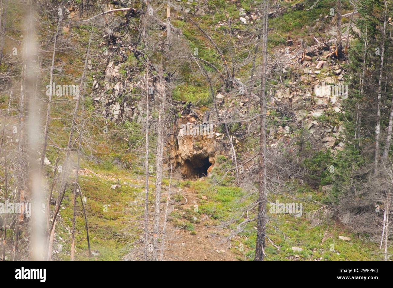Cave along the Copper Ridge Trail in North Cascades National Park Stock ...