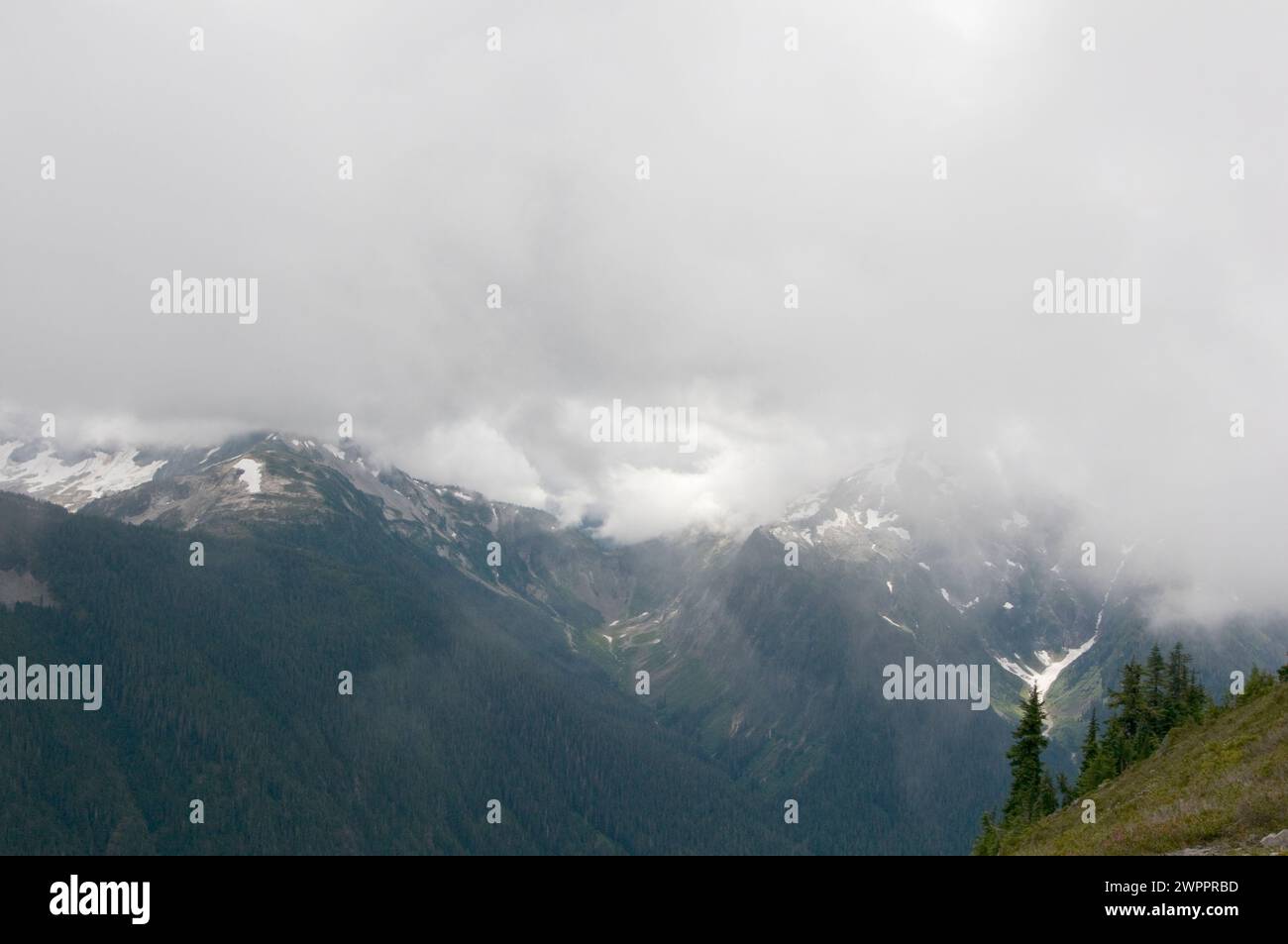 along the Copper Ridge Trail in North Cascades National Park Washington ...