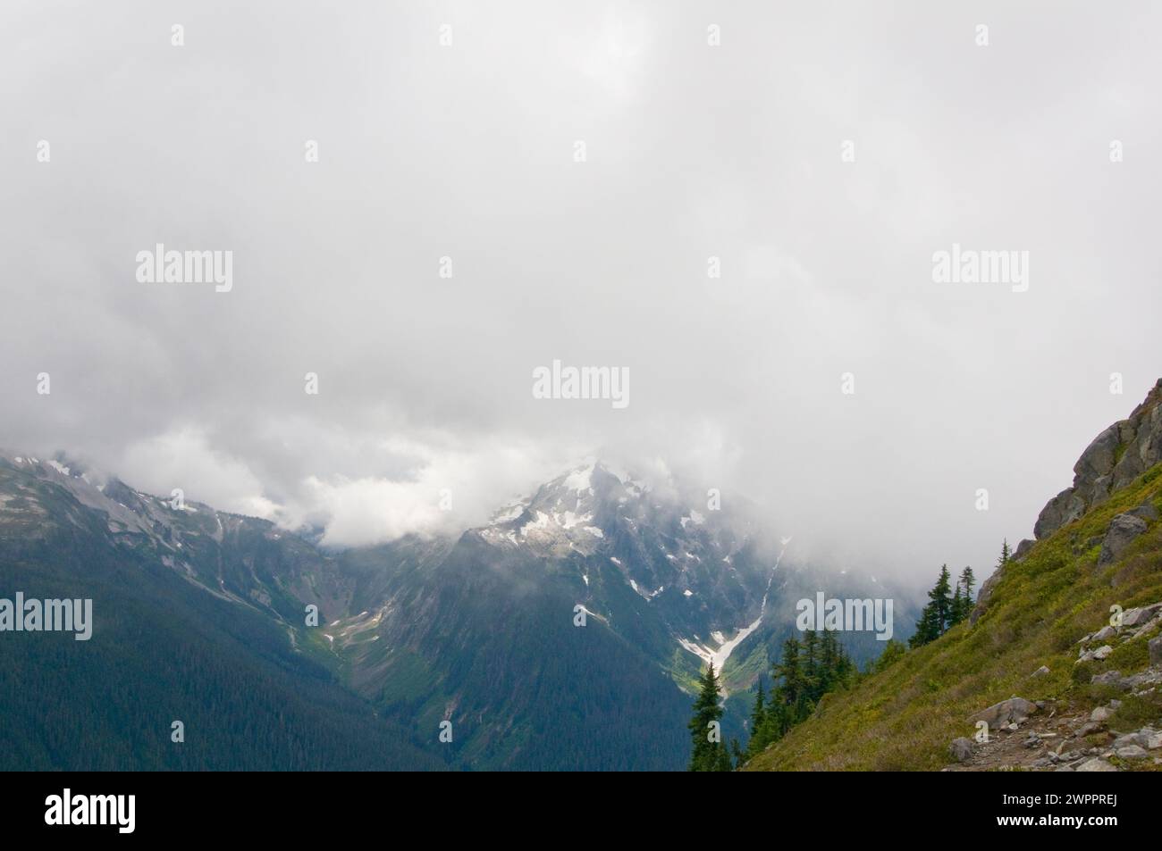 along the Copper Ridge Trail in North Cascades National Park Washington ...