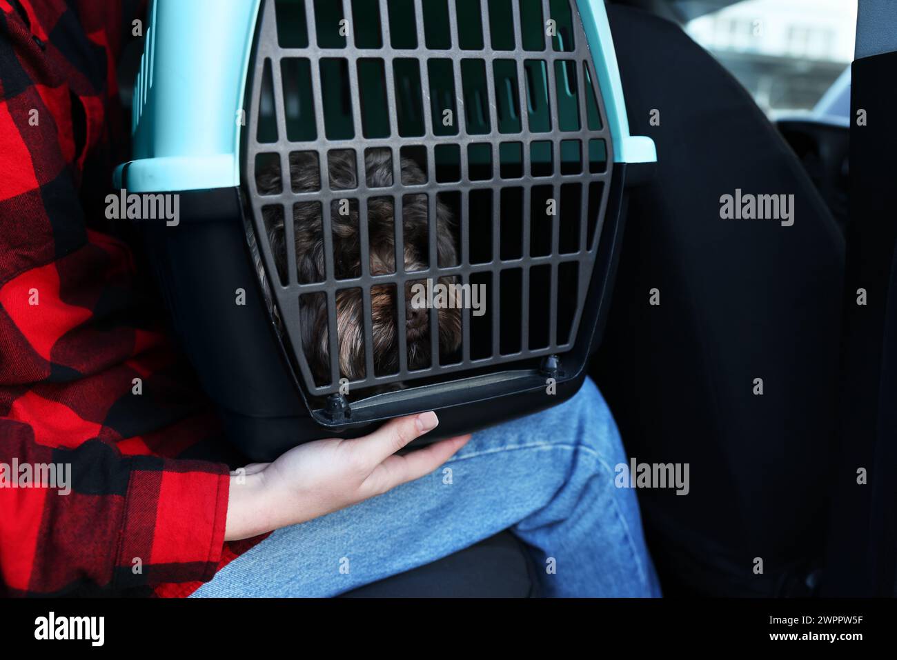 Woman with pet carrier travelling with her dog by car, closeup. Safe ...