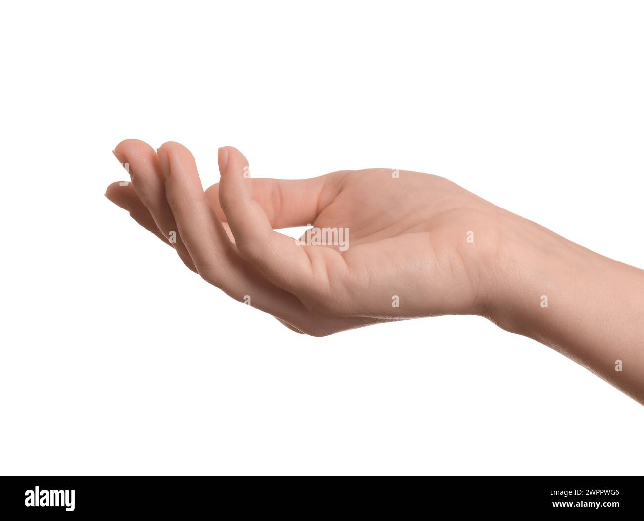 Woman holding something in hand on white background, closeup Stock ...