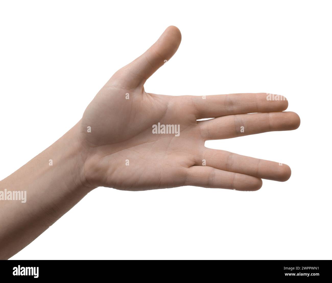Hand showing on free hi-res stock photography and images - Alamy