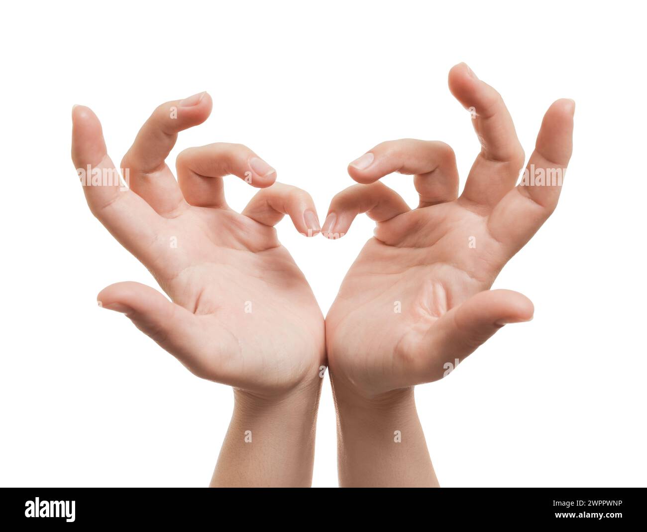 Woman holding something in hands on white background, closeup Stock ...