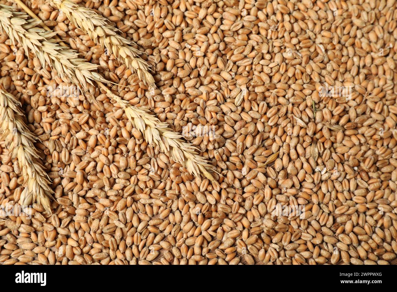 Wheat exchange hi-res stock photography and images - Alamy