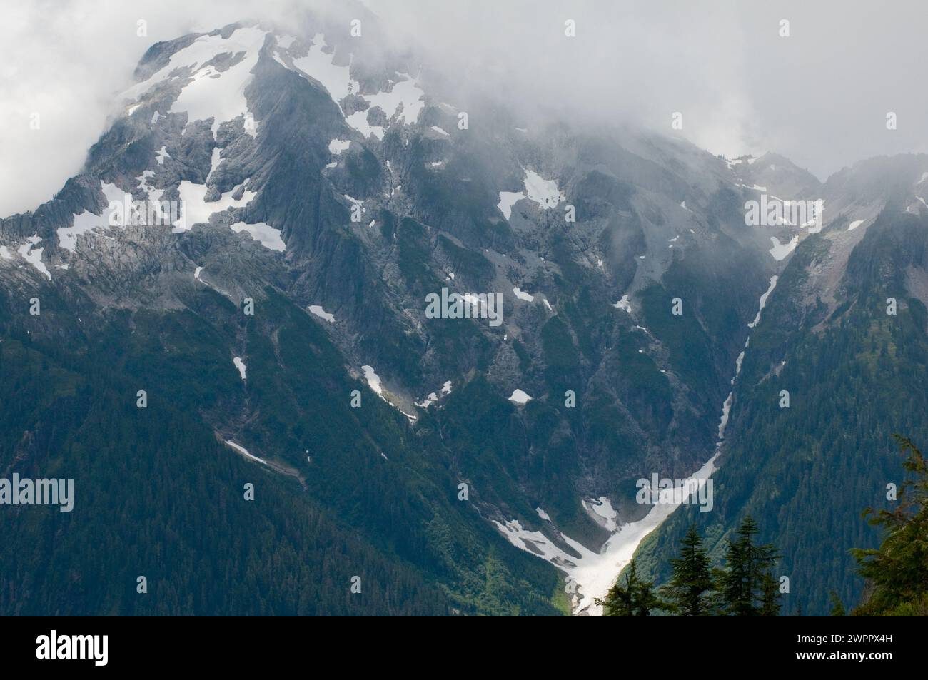 along the Copper Ridge Trail in North Cascades National Park Washington ...