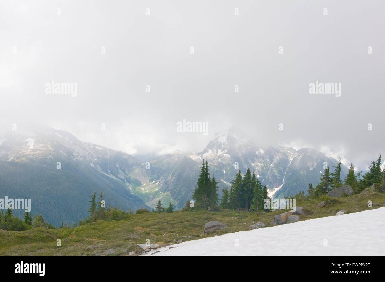 along the Copper Ridge Trail in North Cascades National Park Washington ...