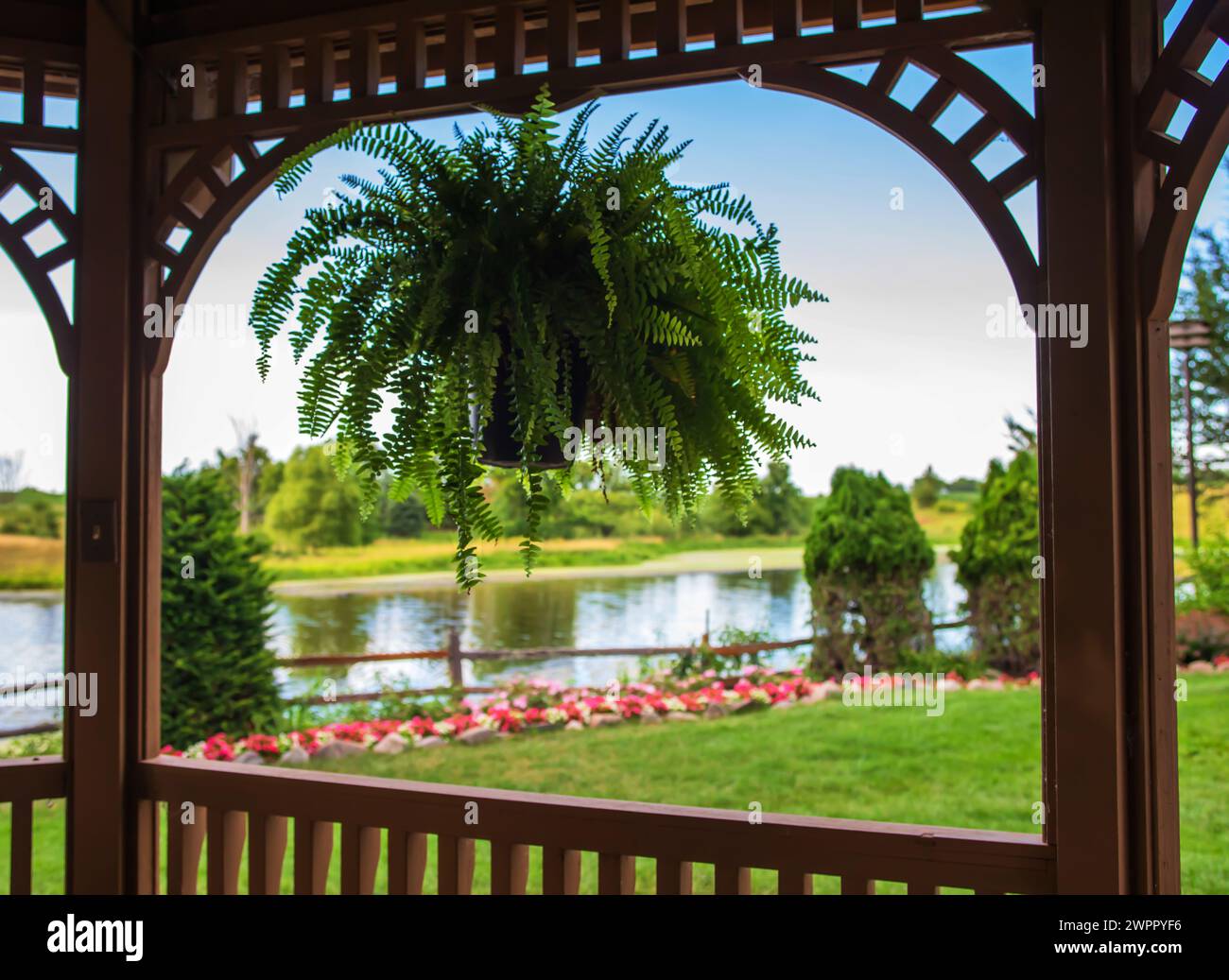 Hanging fern plant and scenic view of a pond and flowers from under a ...
