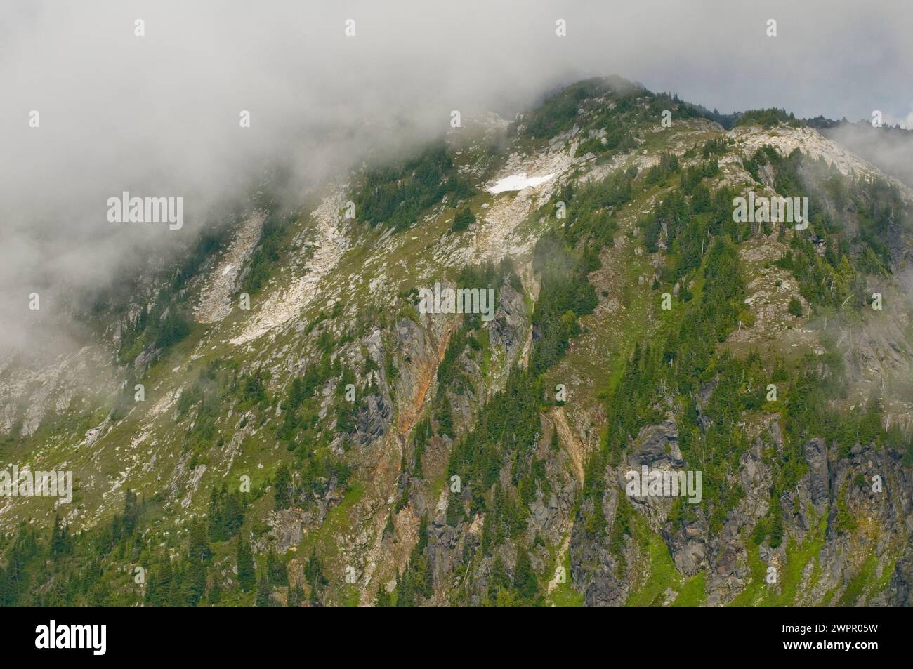 along the Copper Ridge Trail in North Cascades National Park Washington ...