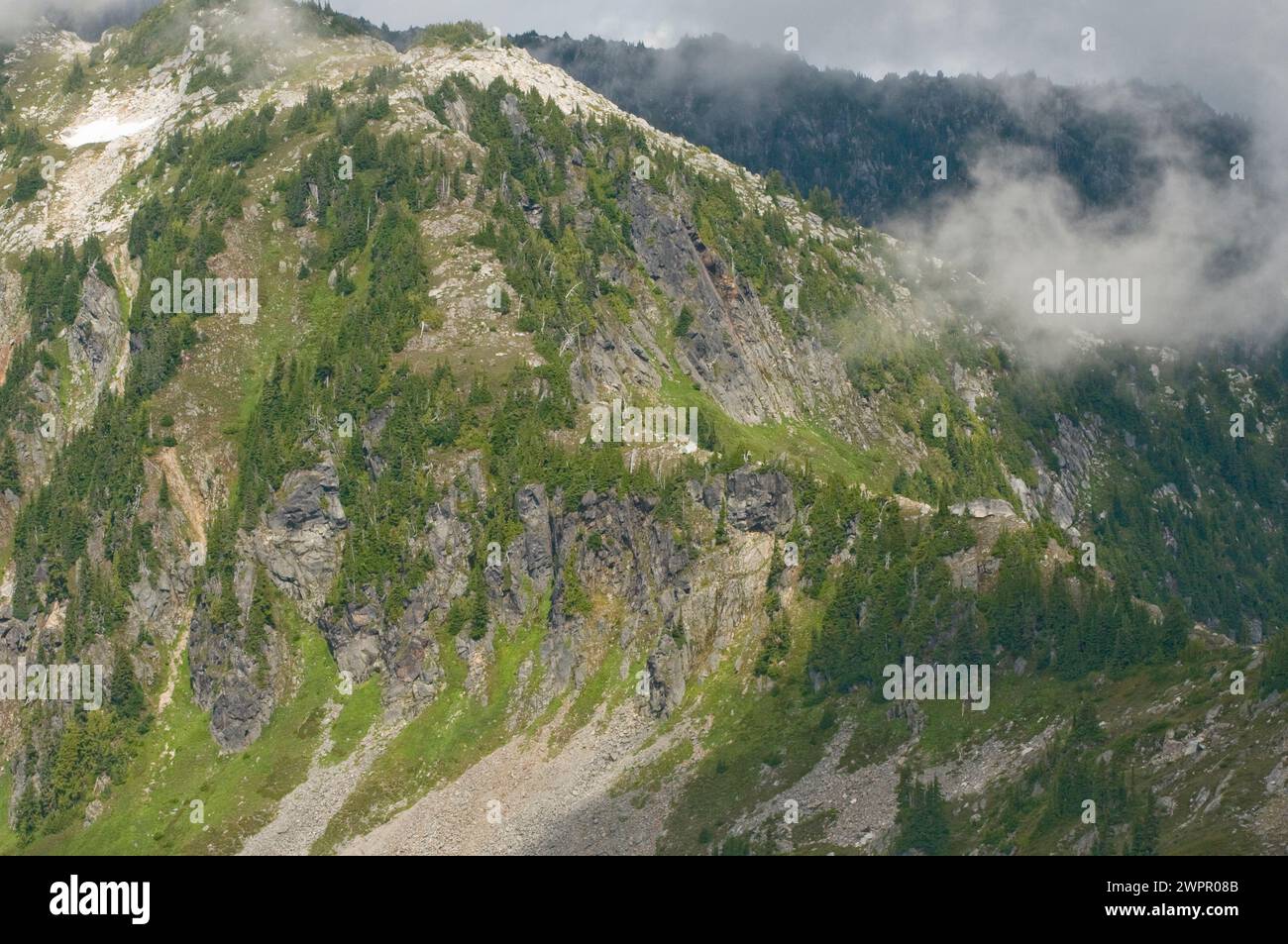 along the Copper Ridge Trail in North Cascades National Park Washington ...