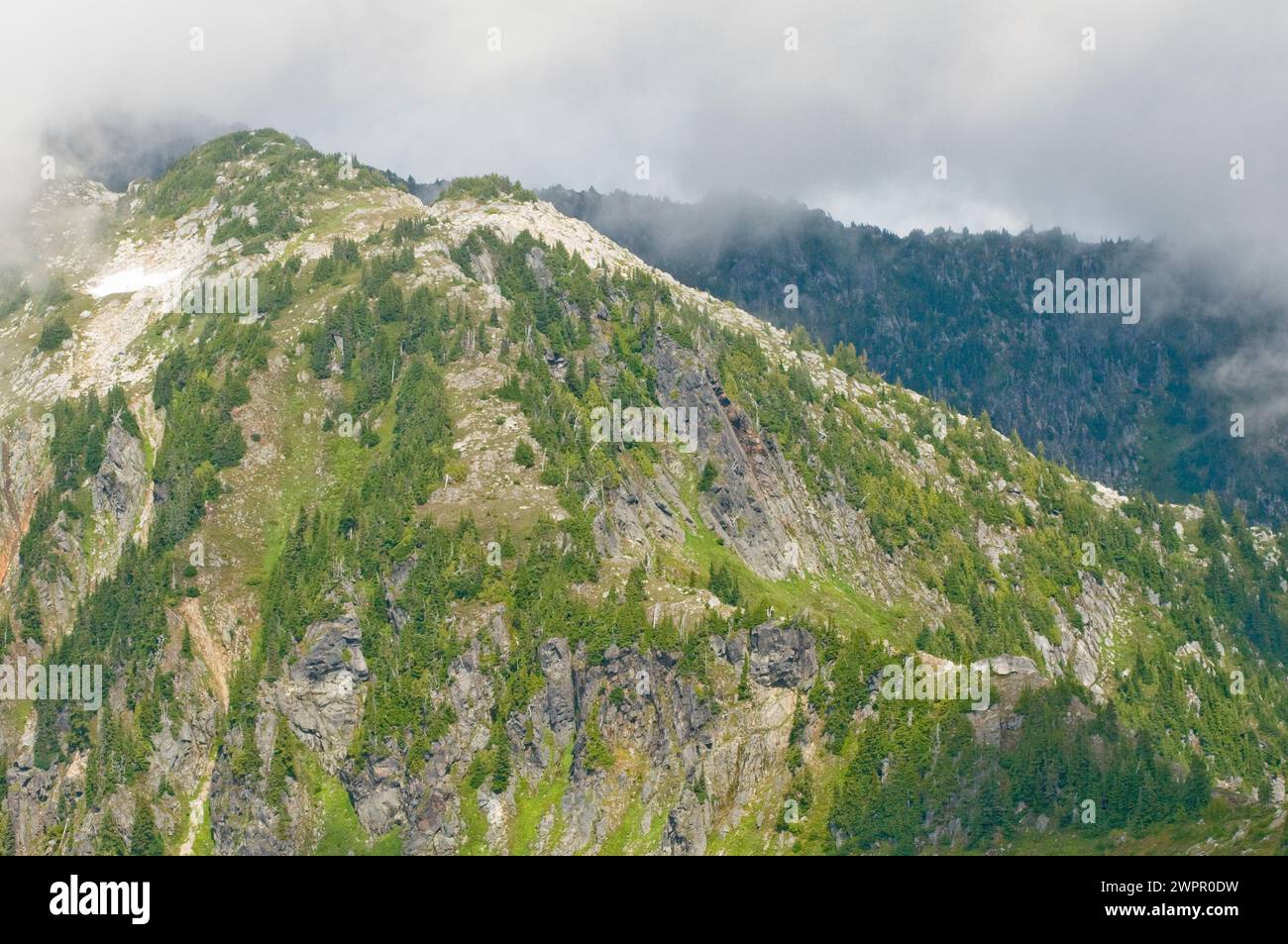 along the Copper Ridge Trail in North Cascades National Park Washington ...