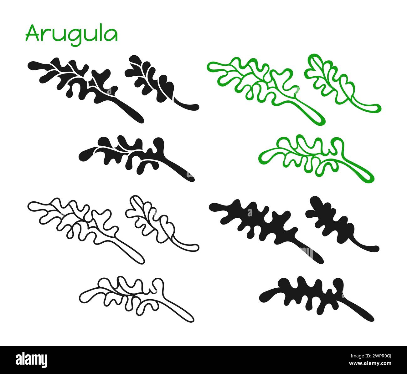 Arugula salad linear icon, cartoon symbol set. Hand Drawn arugula leaf ...