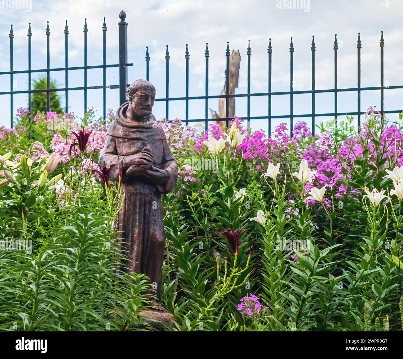 St. Francis of Assisi statue in a summer garden surrounded by lilies ...