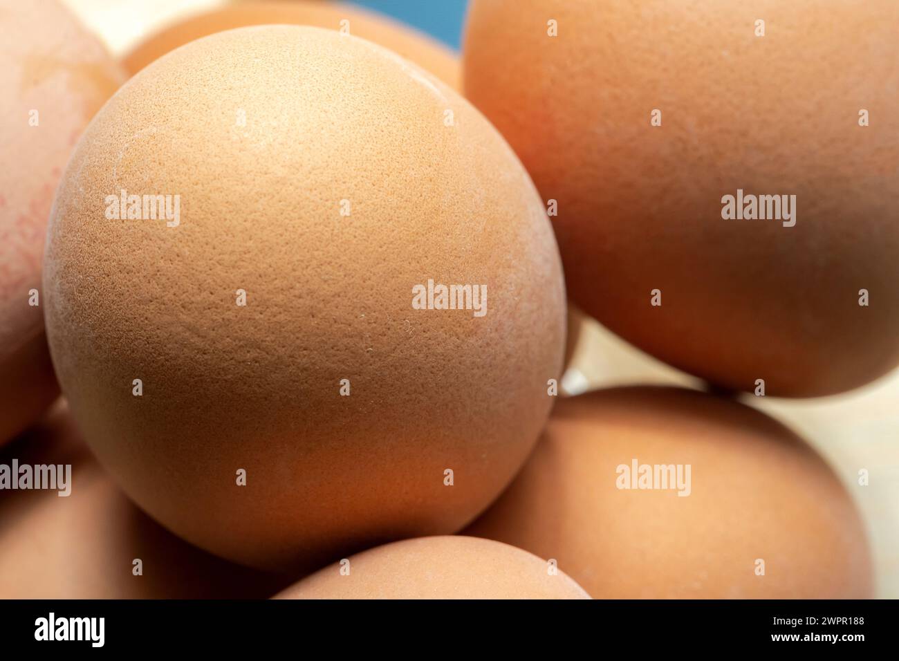Salmonella free hi-res stock photography and images - Alamy
