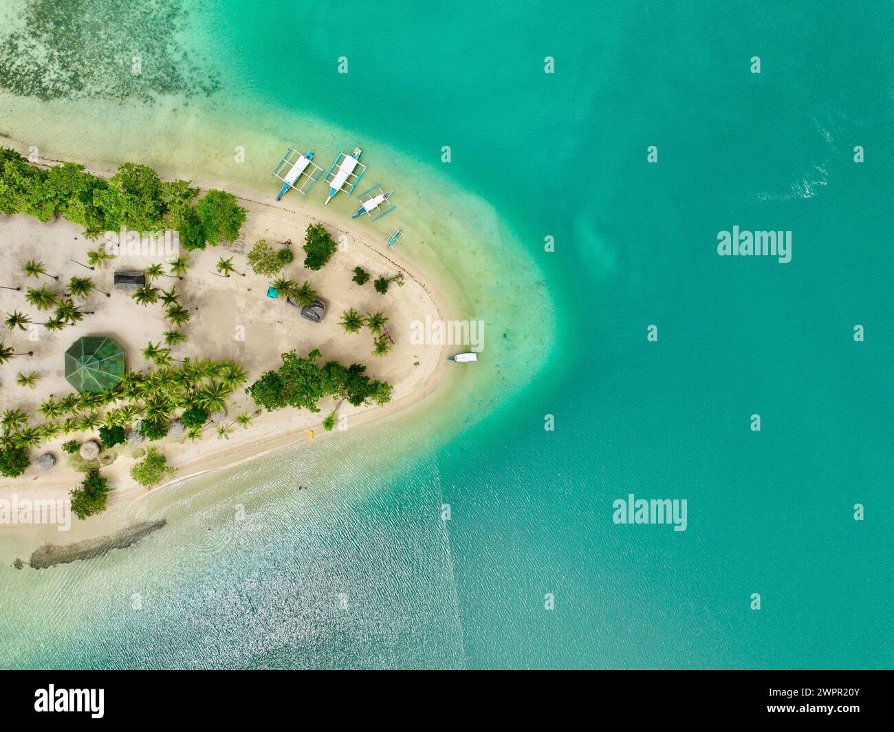 A captivating aerial shot of a a pristine island surrounded by an azure ...