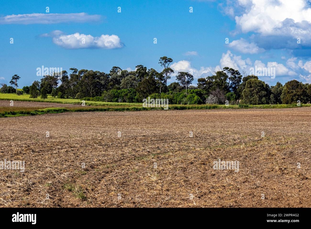 Moola hi-res stock photography and images - Alamy