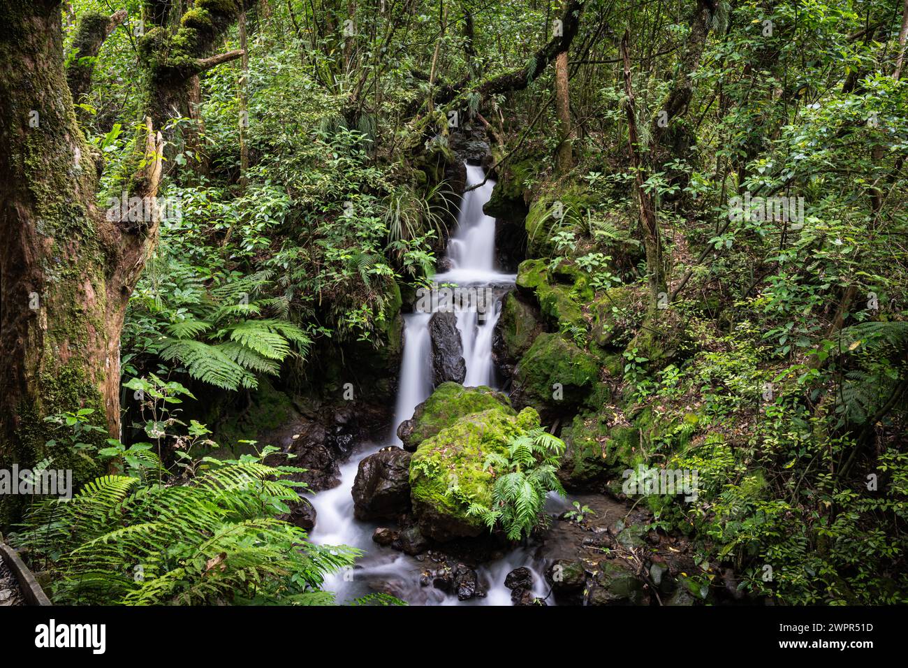 Ketatahi hi-res stock photography and images - Alamy