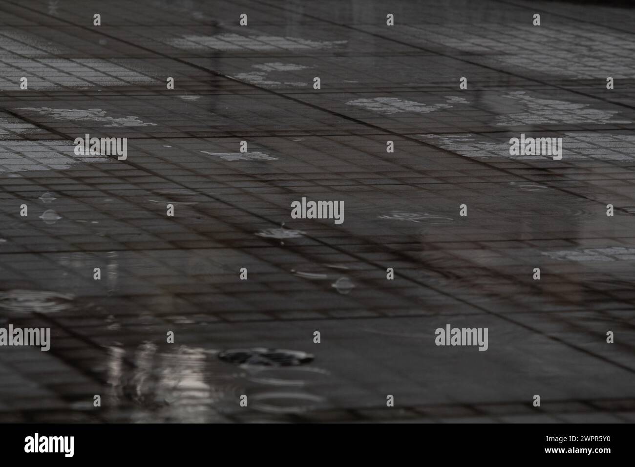 Many raindrops pouring in a dark grey tiled floor Stock Photo - Alamy