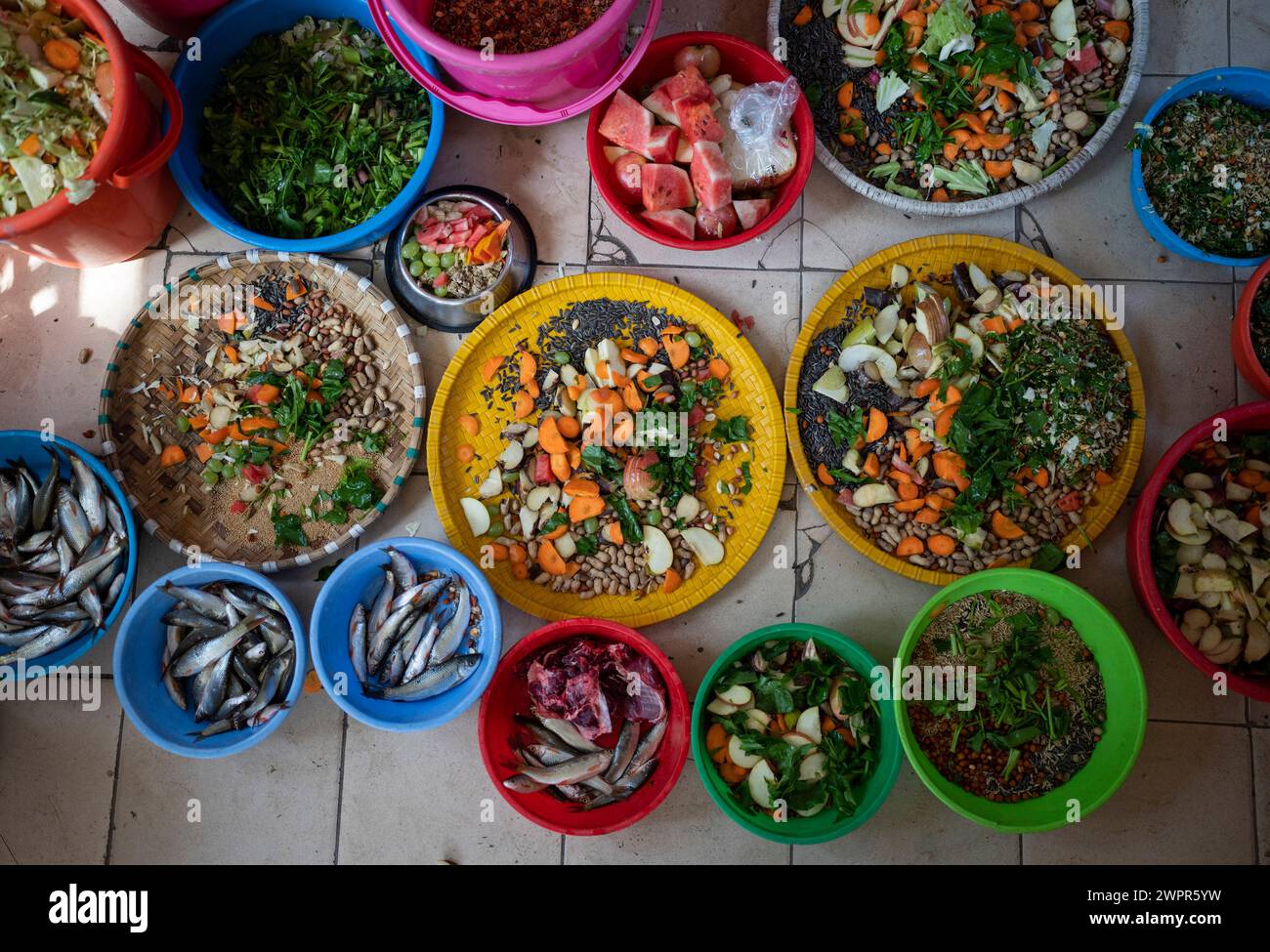 Food for various animals are kept at the animal kitchen before ...