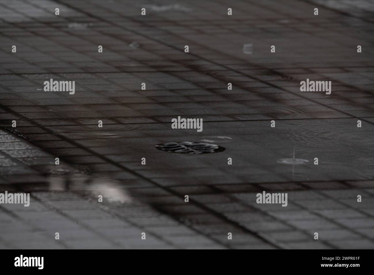 Many raindrops pouring in a dark grey tiled floor Stock Photo - Alamy