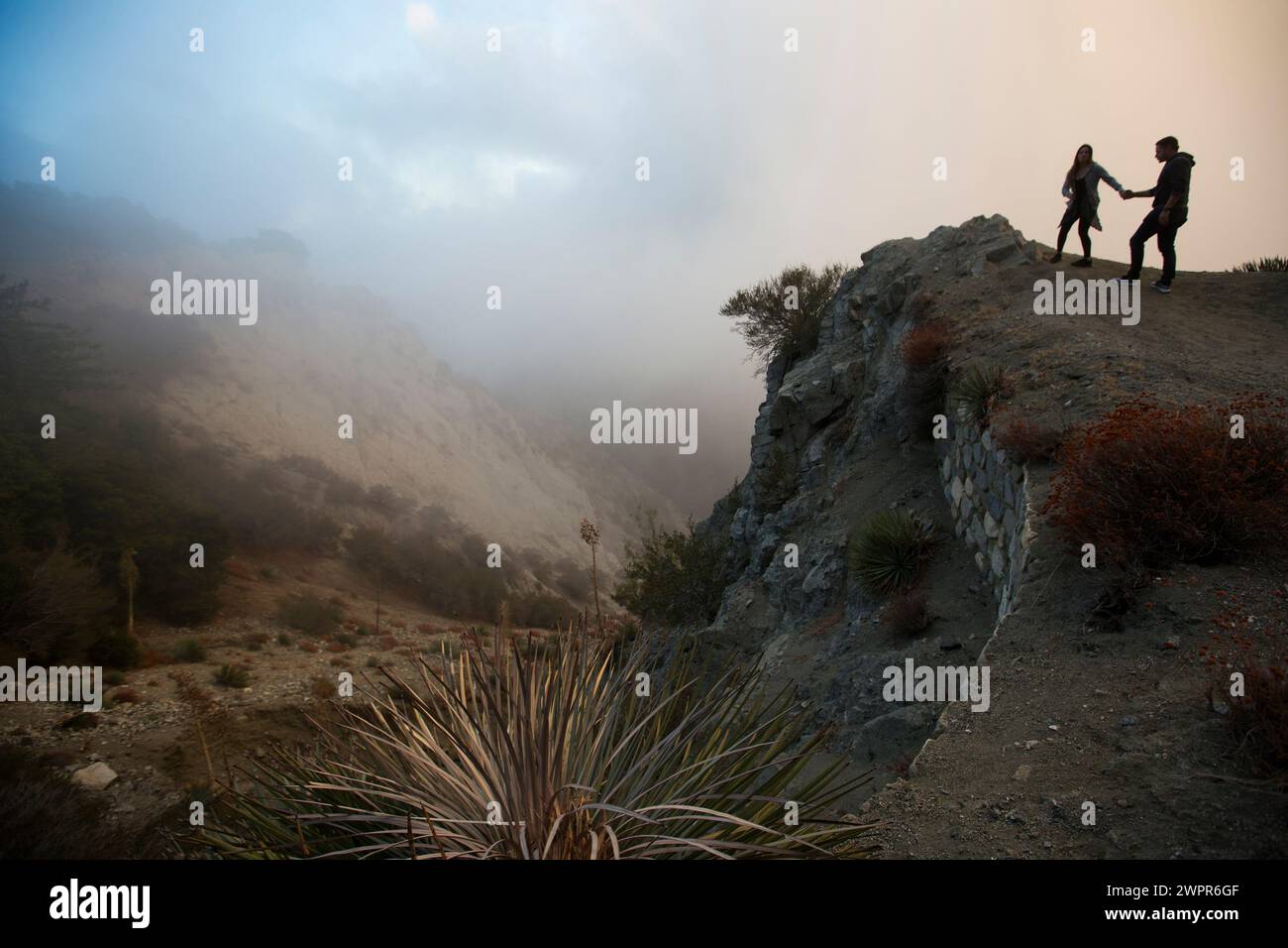Mount Wilson, California, USA - September 29, 2019: A yucca plant ...