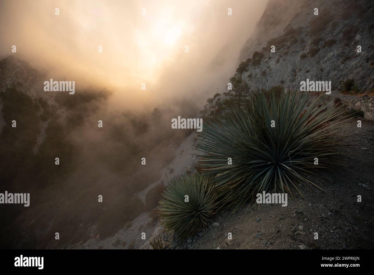 Foggy sunset view of Mt. Lowe on the Eaton Saddle Trail in the San ...
