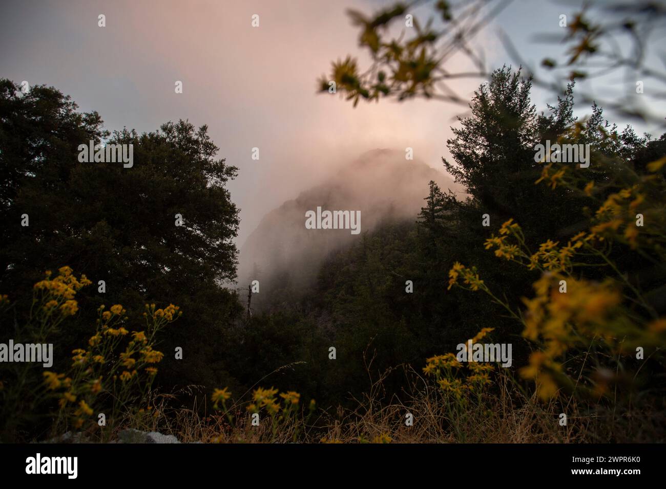 Foggy sunset view of Mt. Lowe on the Eaton Saddle Trail in the San ...