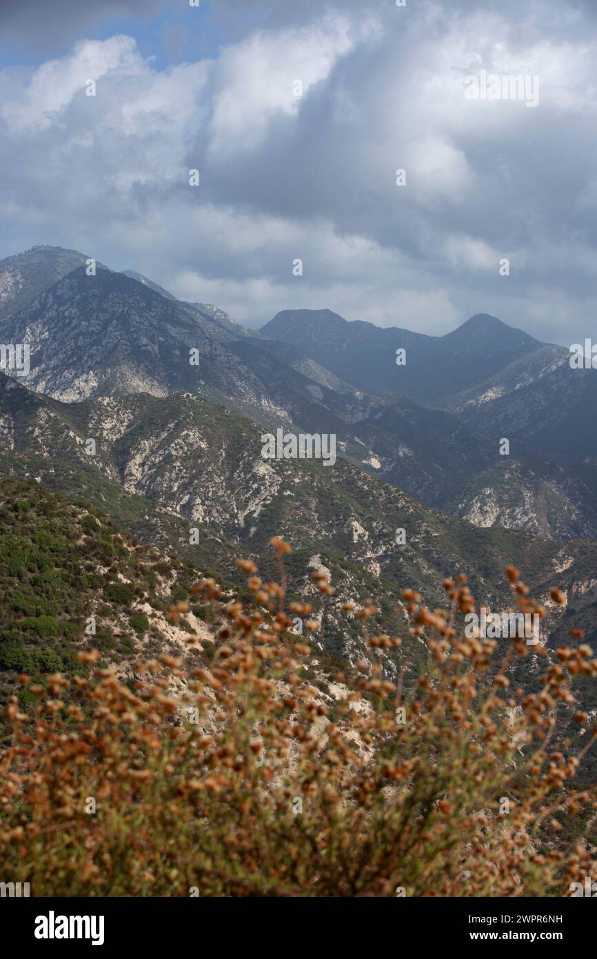 Vivid spring time view of wildflowers and dramatic San Gabriel ...