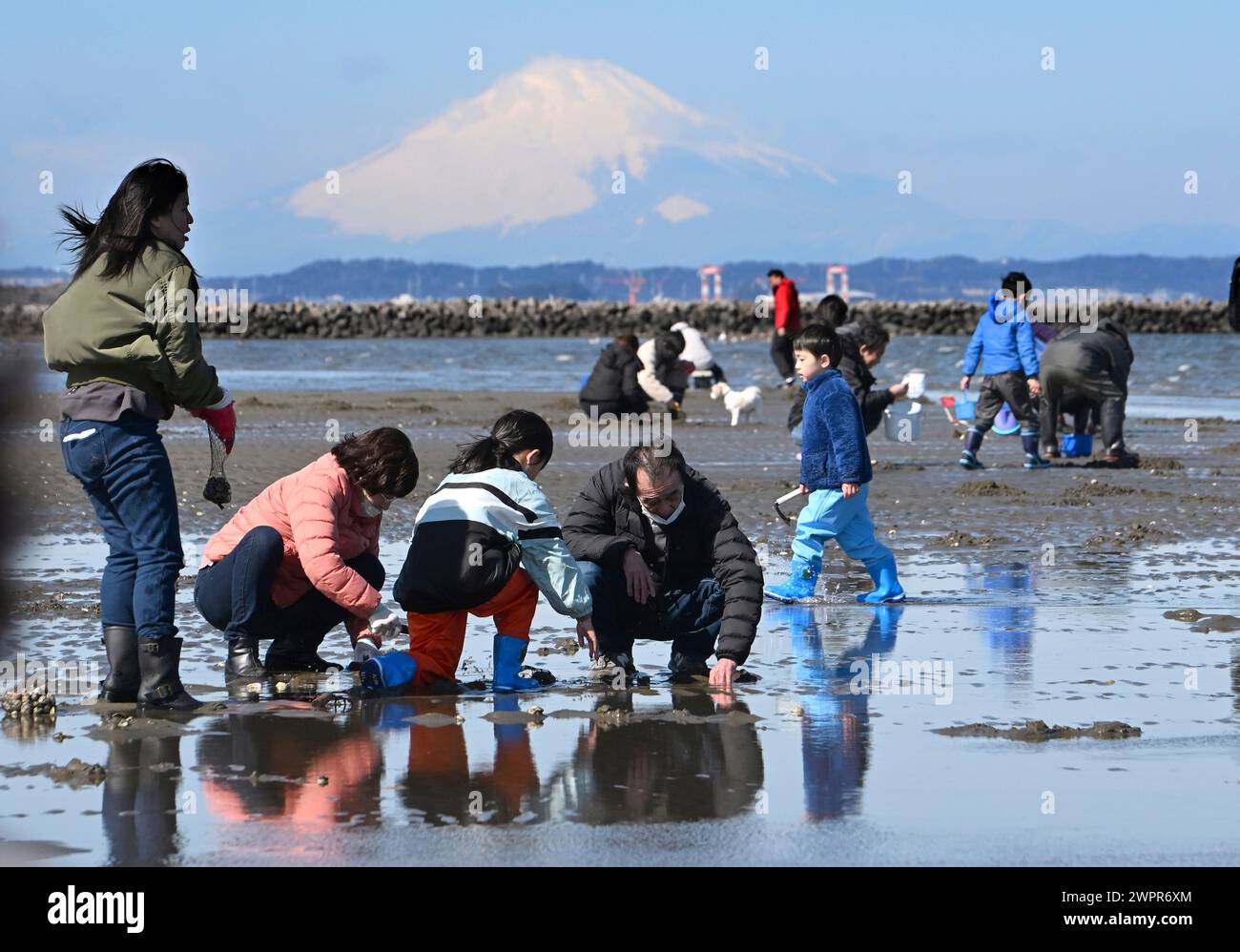 People enjoy clam picking at Futtsu Clam-digging Beach in Futtsu City ...