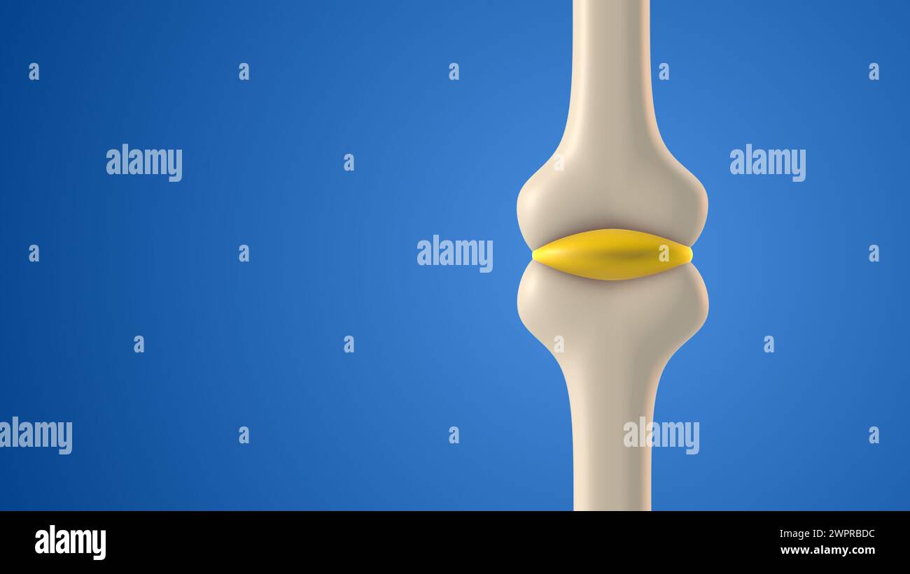 Synovial joint hi-res stock photography and images - Alamy