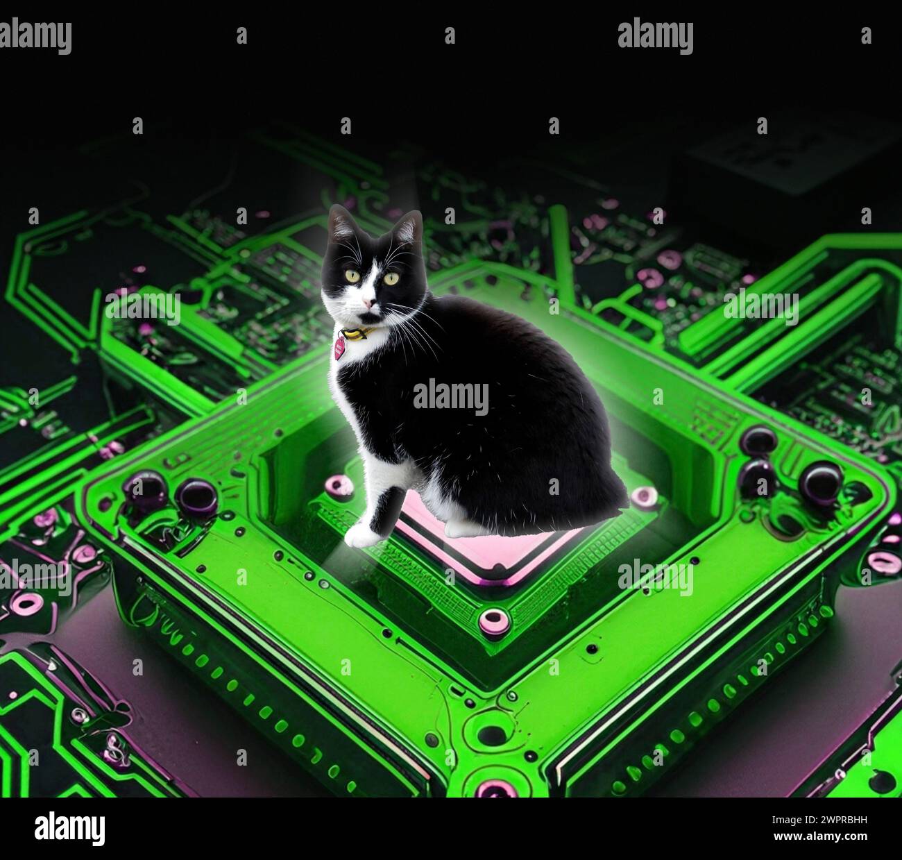 Computer simulation hi-res stock photography and images - Alamy