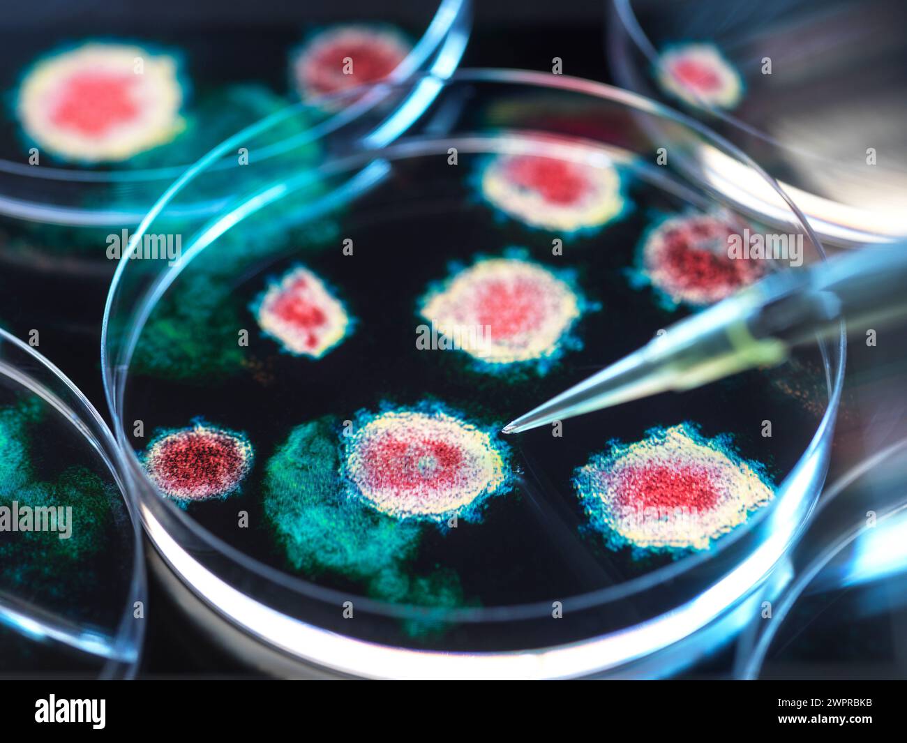 Viral research hi-res stock photography and images - Alamy